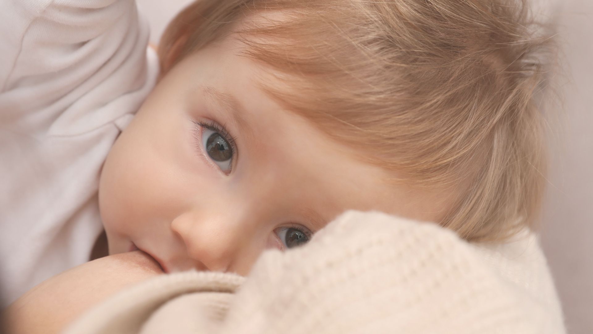 Destete de urgencia - Spacio Ama